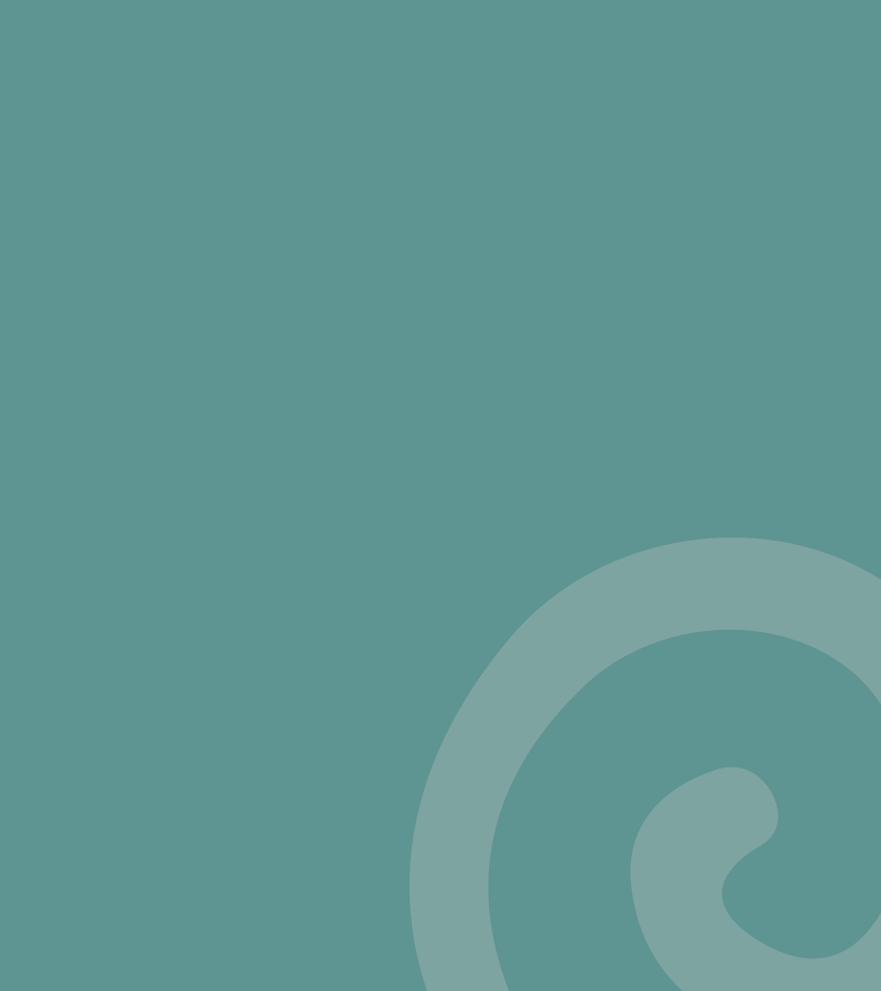 Time Timer Plus avec bouton pause – 60 min – fdmt